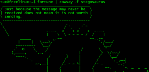 Cool and Fun Linux Terminal Commands | Free Linux Tutorials